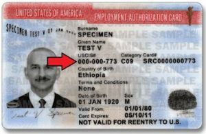 What And Where Is The Alien Registration Number (A-Number)?