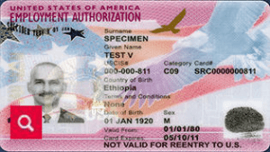 Employment Authorization Card - Latest US Immigration Posts And News ...