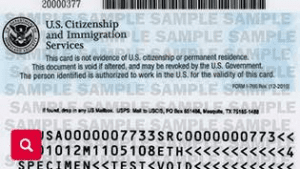 Employment Authorization Card - Latest US Immigration Posts And News ...